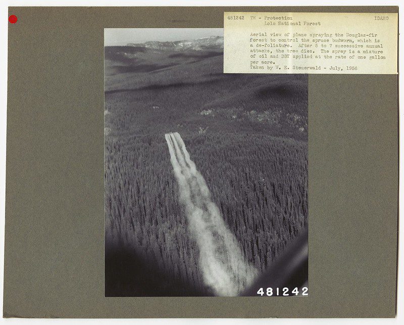 Toxic Traditions: DDT and How History Repeats Itself with Chemical ...
