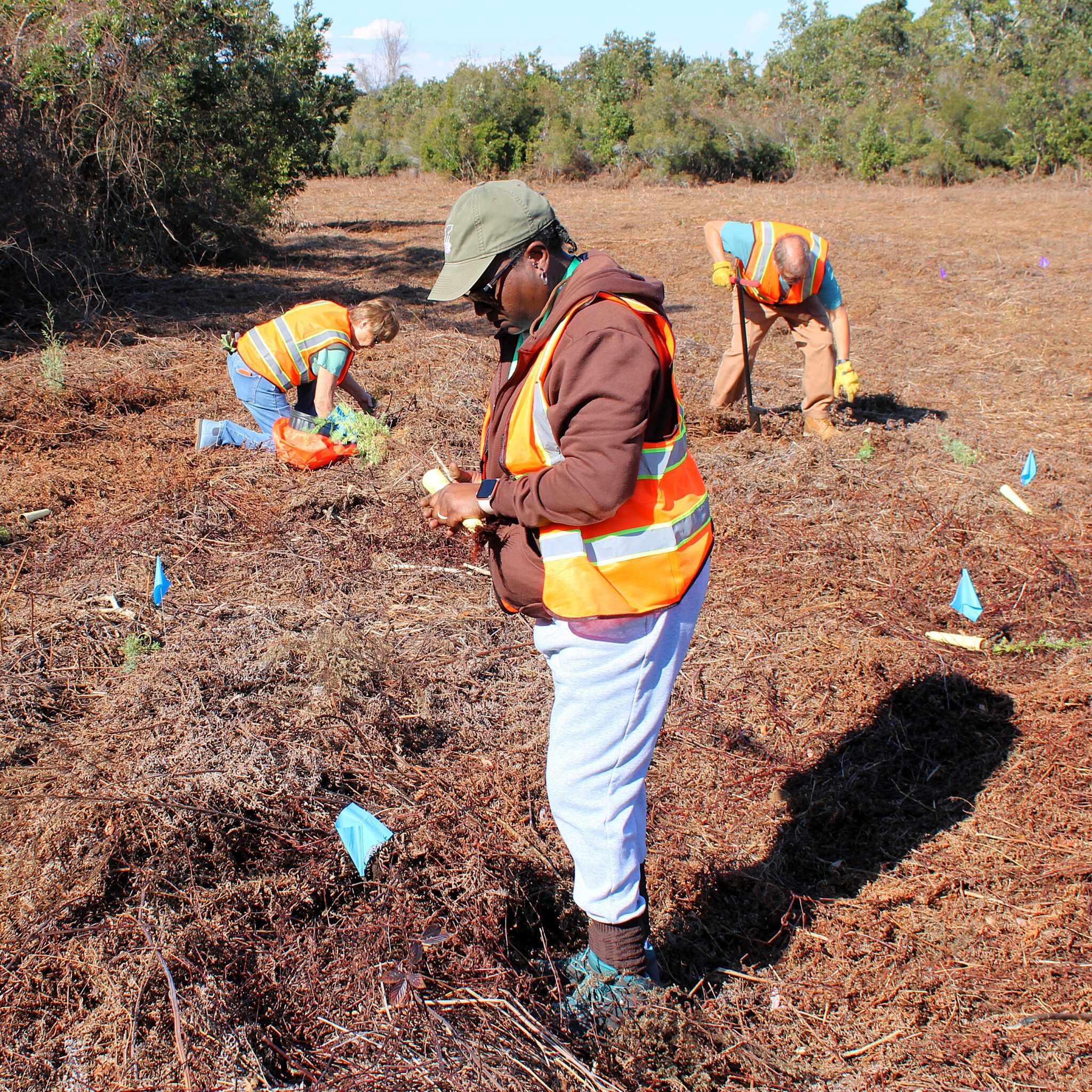 Wild Connections - NCWF's 2025 Year in Review - North Carolina Wildlife ...