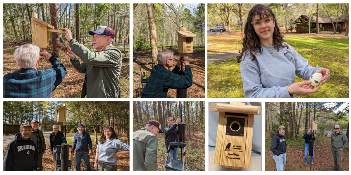 Digging in the Dirt: March Chapter & Planting Highlights - North Carolina Wildlife Federation