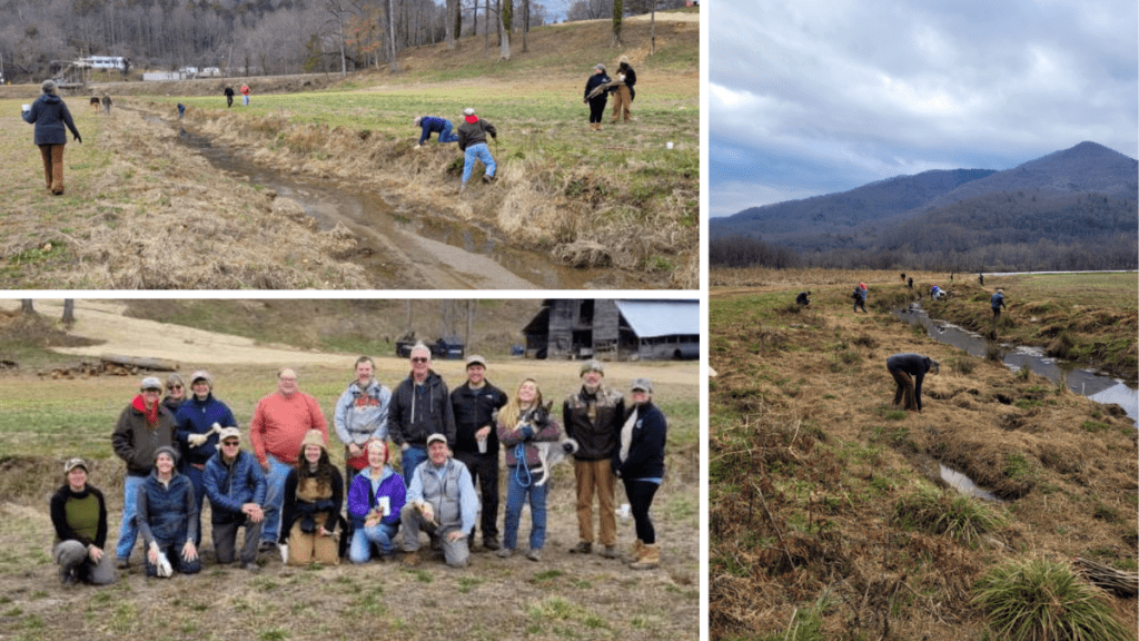 Rooted in Purpose: NCWF's Chapter Impact for Tree Canopy Wildlife ...