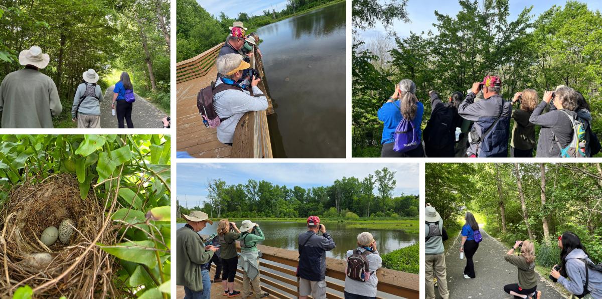 Thanks to Our Volunteers! – May 2025 Community Wildlife Chapter Updates ...