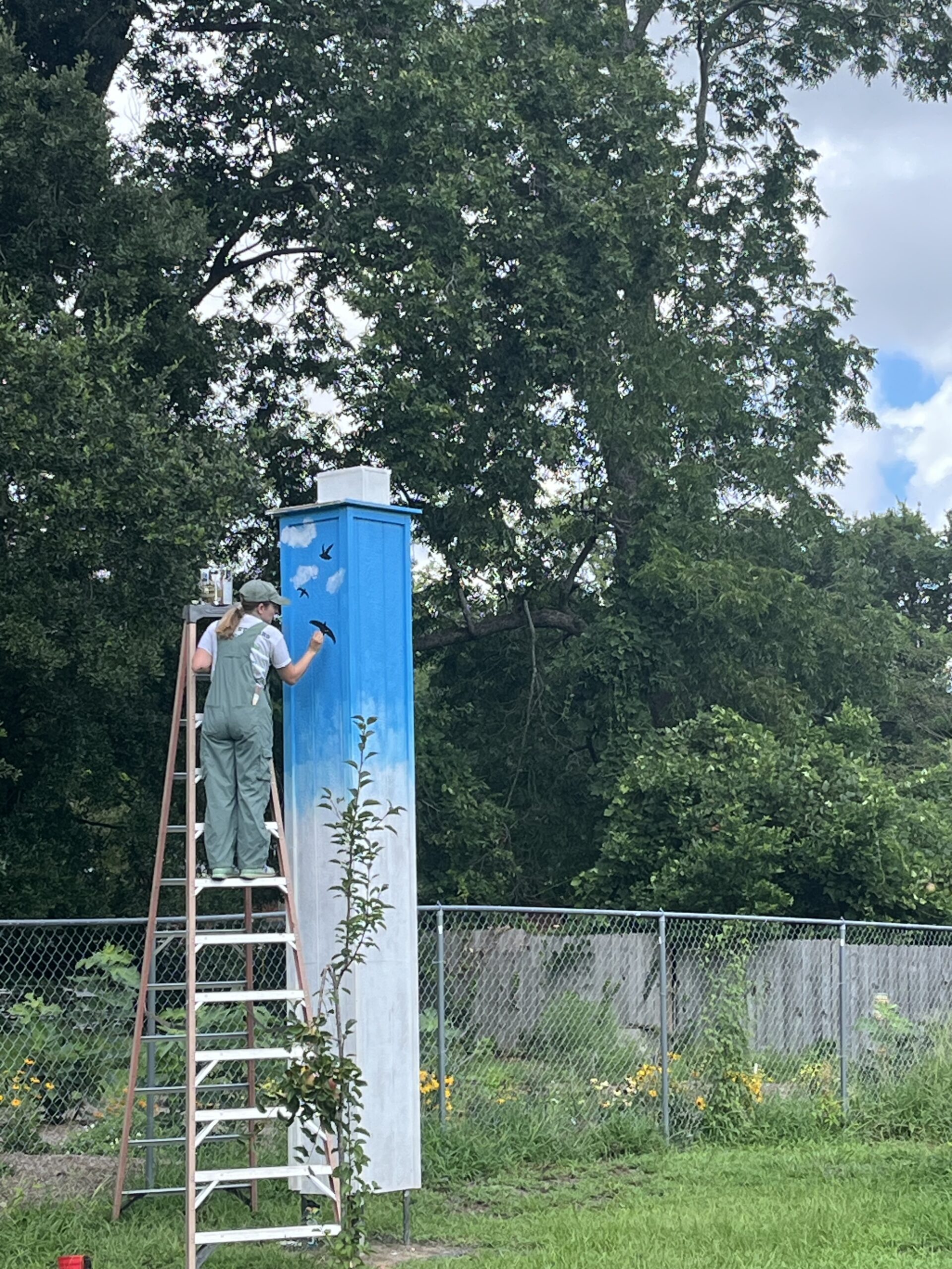 Eyes to the Sky - Building Chimney Swift Towers in Coastal North ...