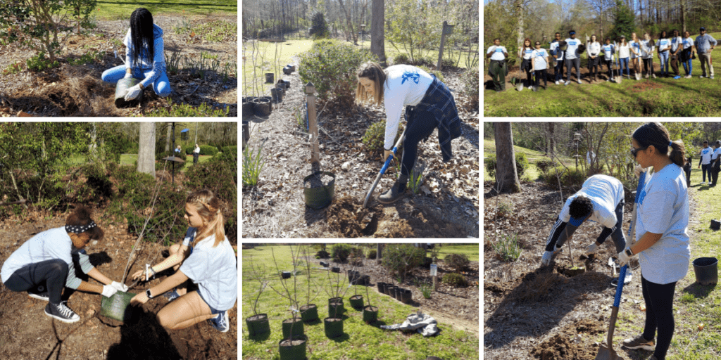 Rooted in Purpose: NCWF's Chapter Impact for Tree Canopy Wildlife ...