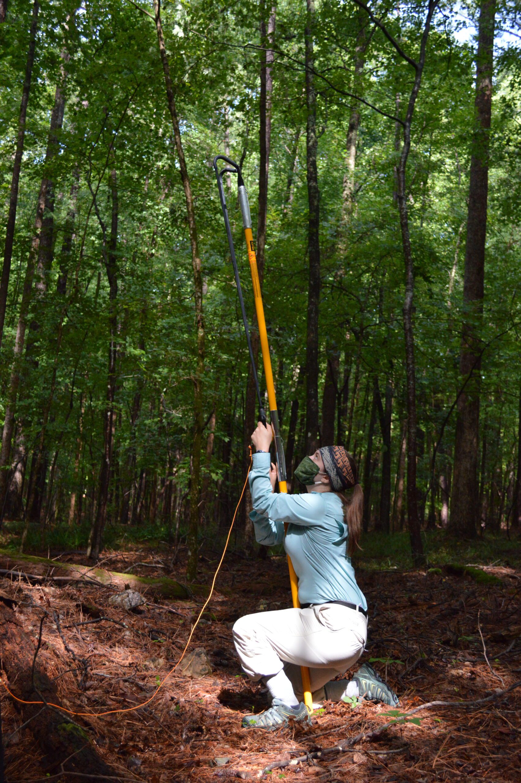 Looking Up: NCWF Scholarship Winner Michelle Kirchner, Rare Ants, and ...