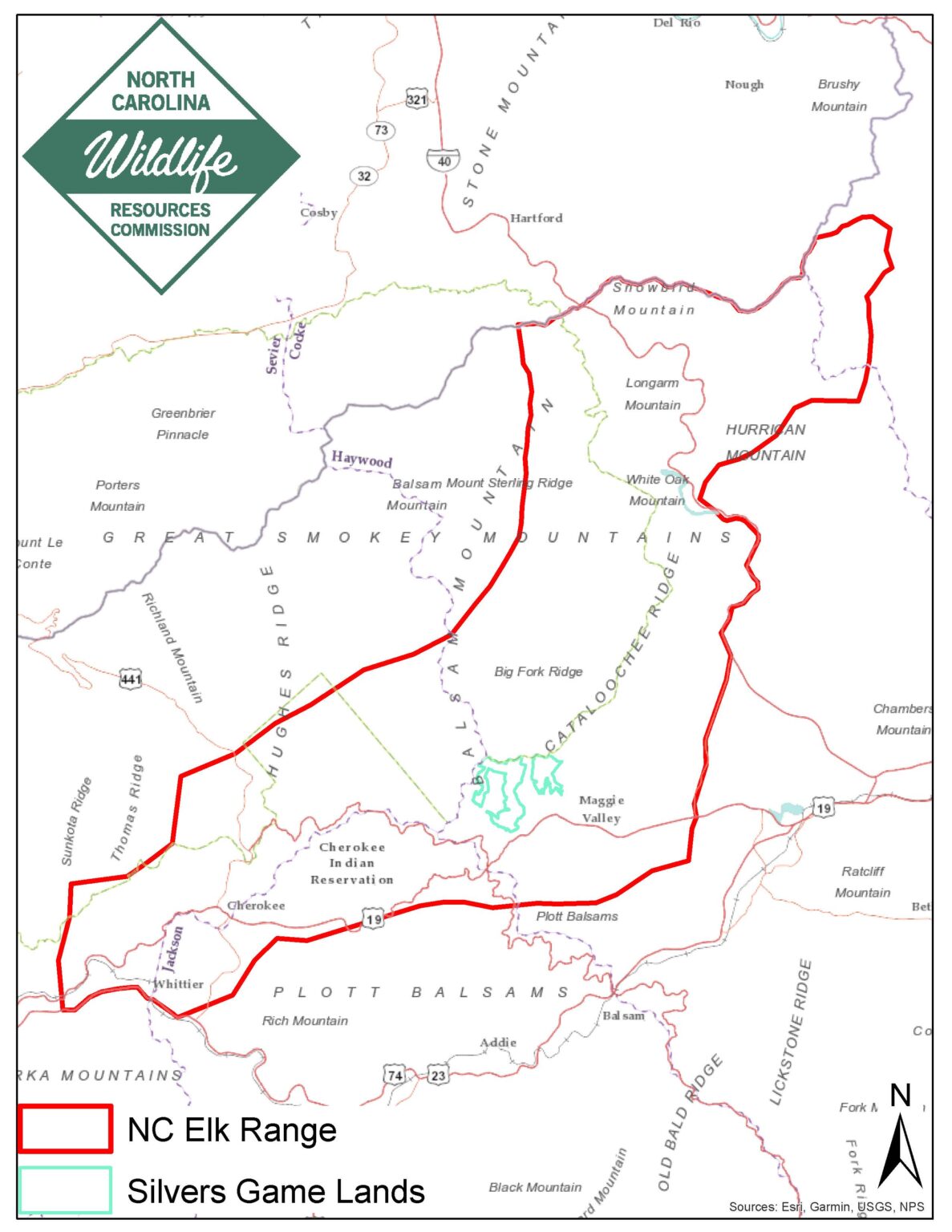 Wildlife Species Spotlight: Elk - North Carolina Wildlife Federation