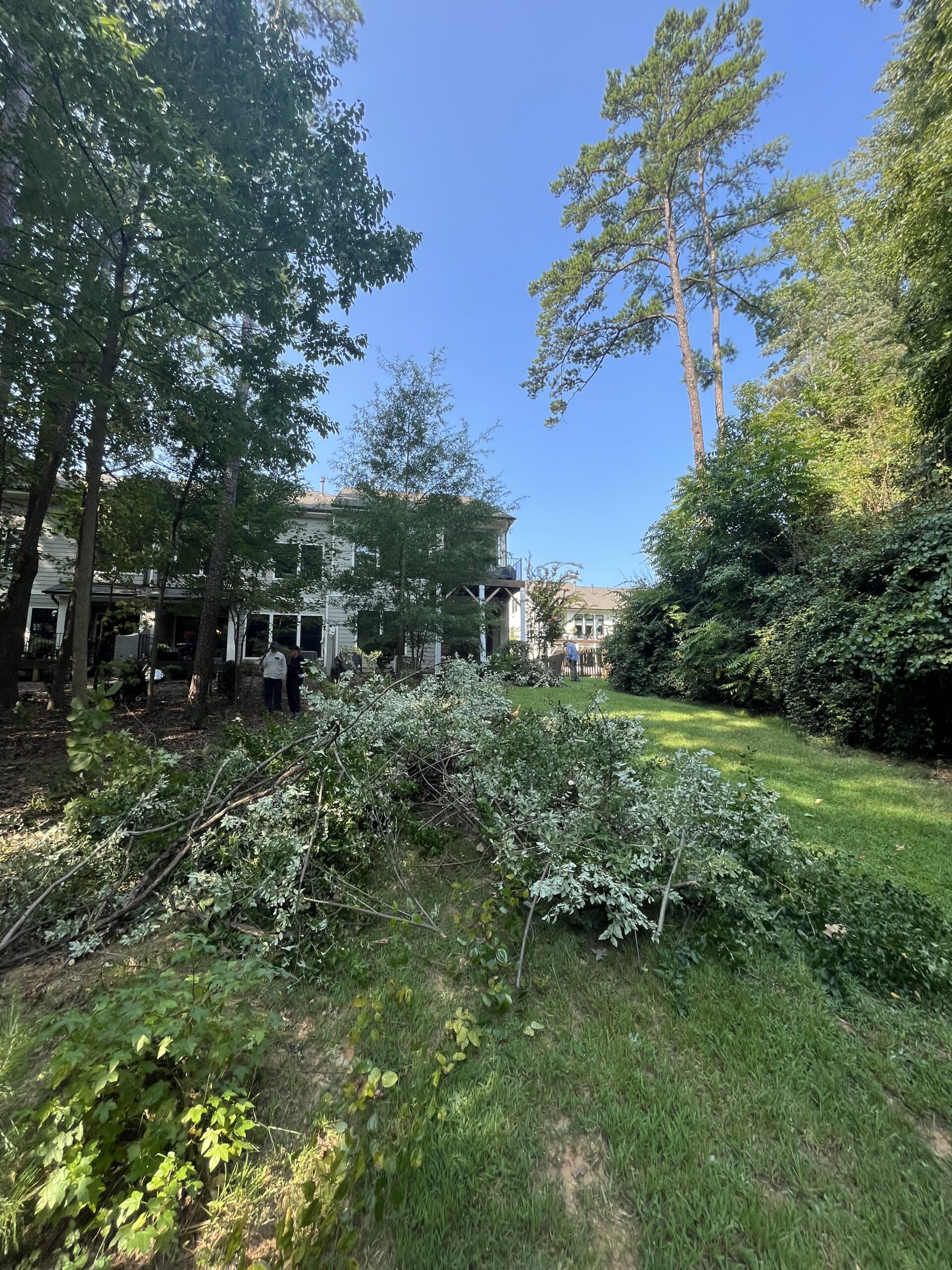 “Not Just Us”: A Charlotte Community’s Fight for Wildlife and Habitat ...