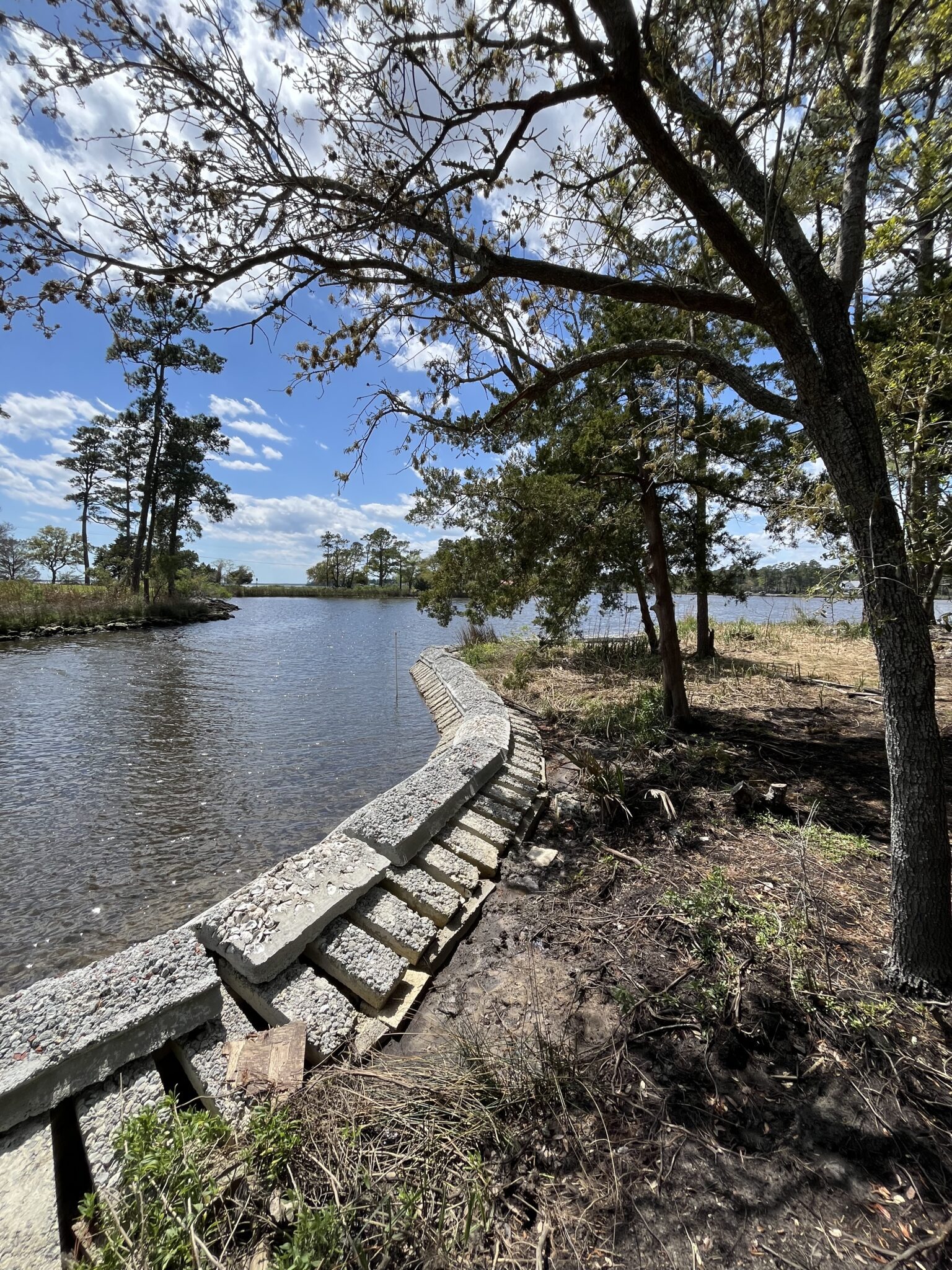 Natural Solutions: Creating Living Shorelines for Wildlife - North ...