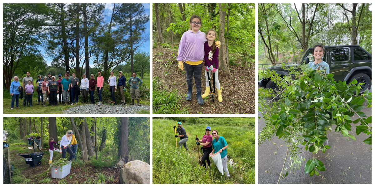 Digging in the Dirt: April Chapter & Planting Highlights - North ...