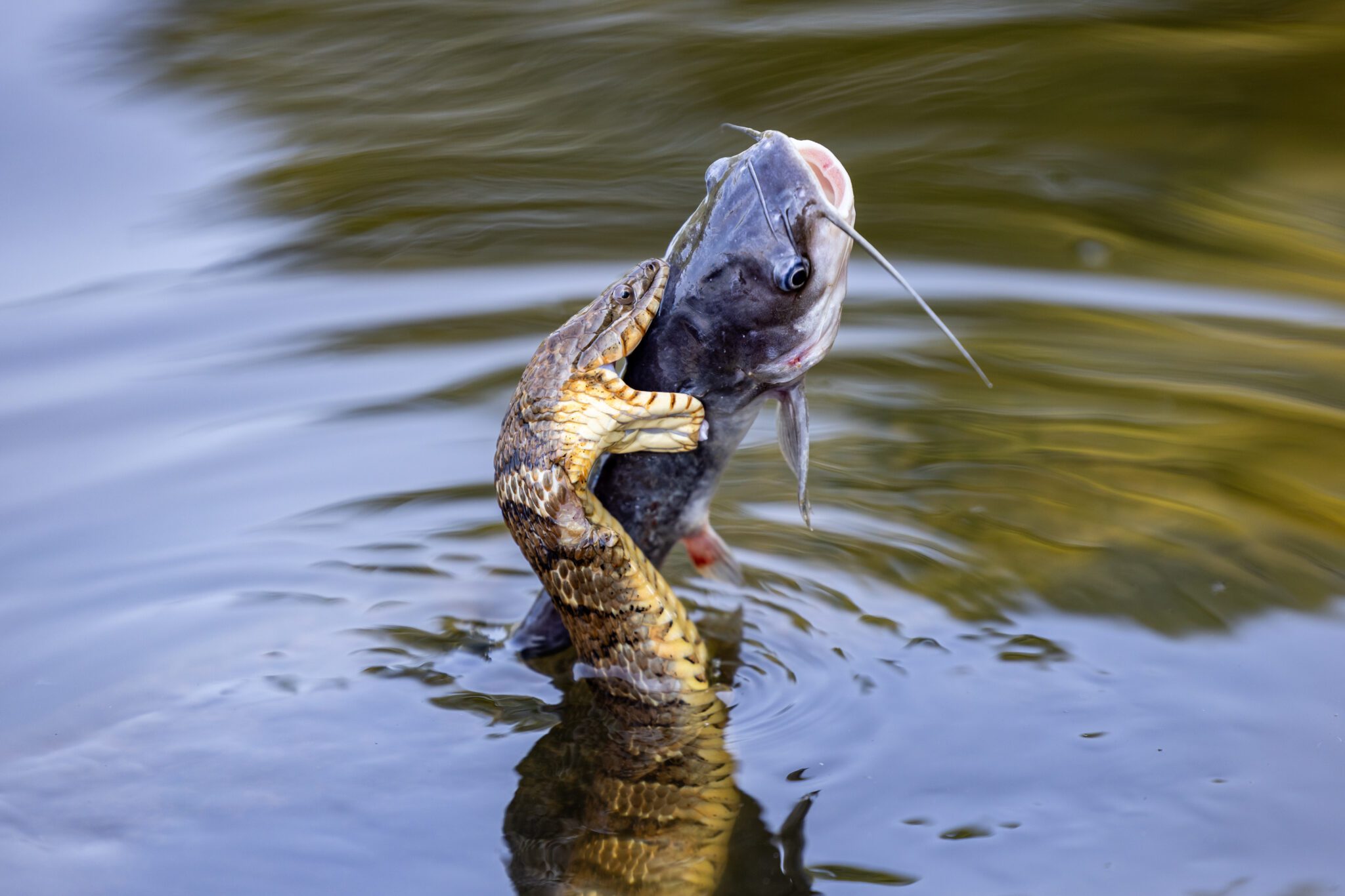 NCWF Announces 5th Annual Photo Contest Winners - North Carolina ...