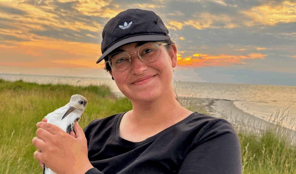 Wild Connections - NCWF's 2025 Year in Review - North Carolina Wildlife ...