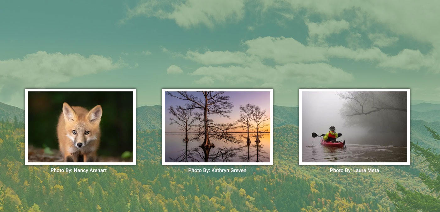 Photo Contest - North Carolina Wildlife Federation