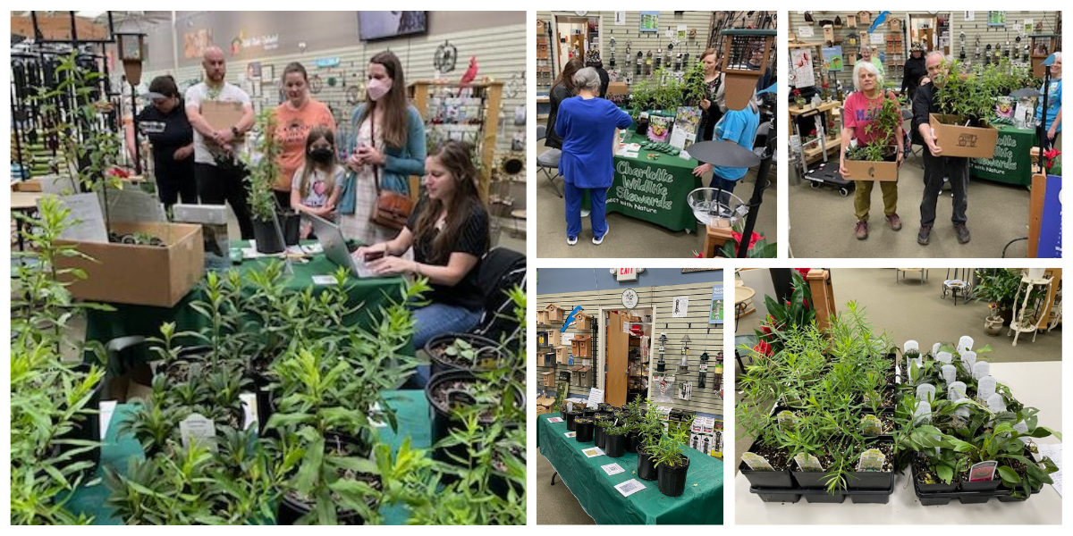 Digging in the Dirt: April Chapter & Planting Highlights - North ...