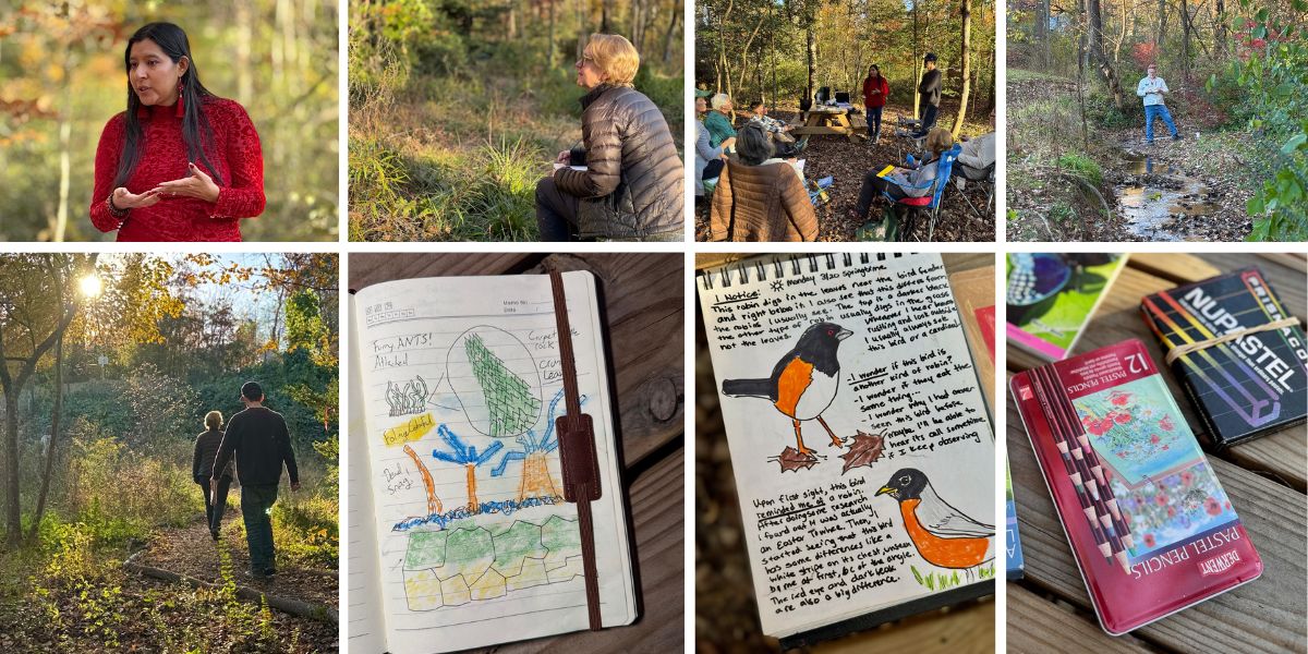 NCWF In The Field - November, 2025 - North Carolina Wildlife Federation