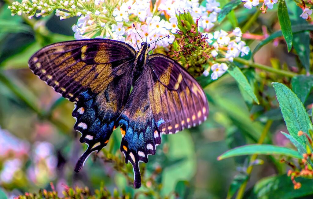 NCWF Announces 5th Annual Photo Contest Winners - North Carolina ...