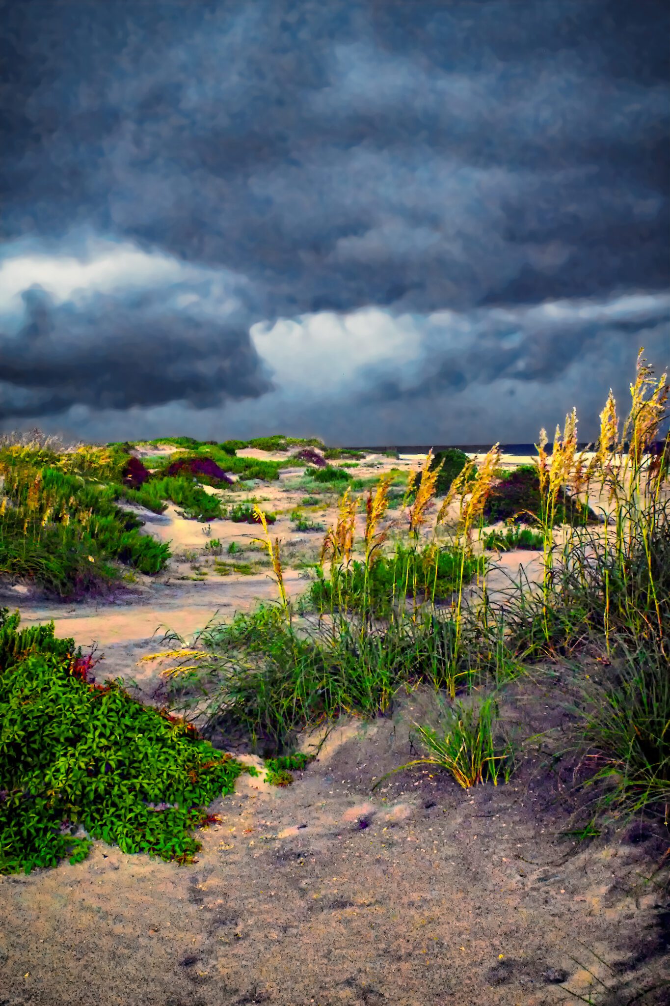 NCWF Announces 5th Annual Photo Contest Winners - North Carolina ...