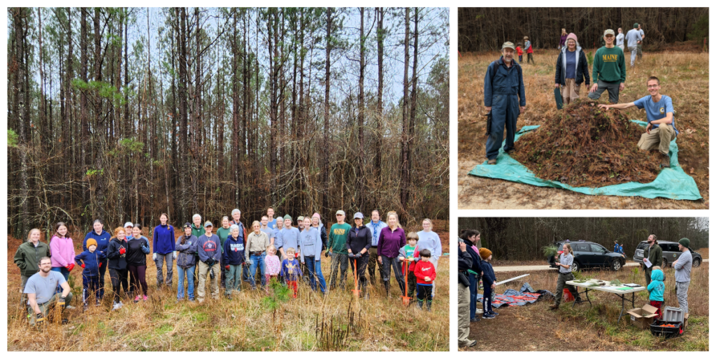 Rooted in Purpose: NCWF's Chapter Impact for Tree Canopy Wildlife ...