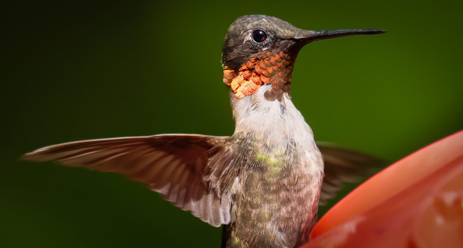 NCWF Announces 5th Annual Photo Contest Winners - North Carolina ...