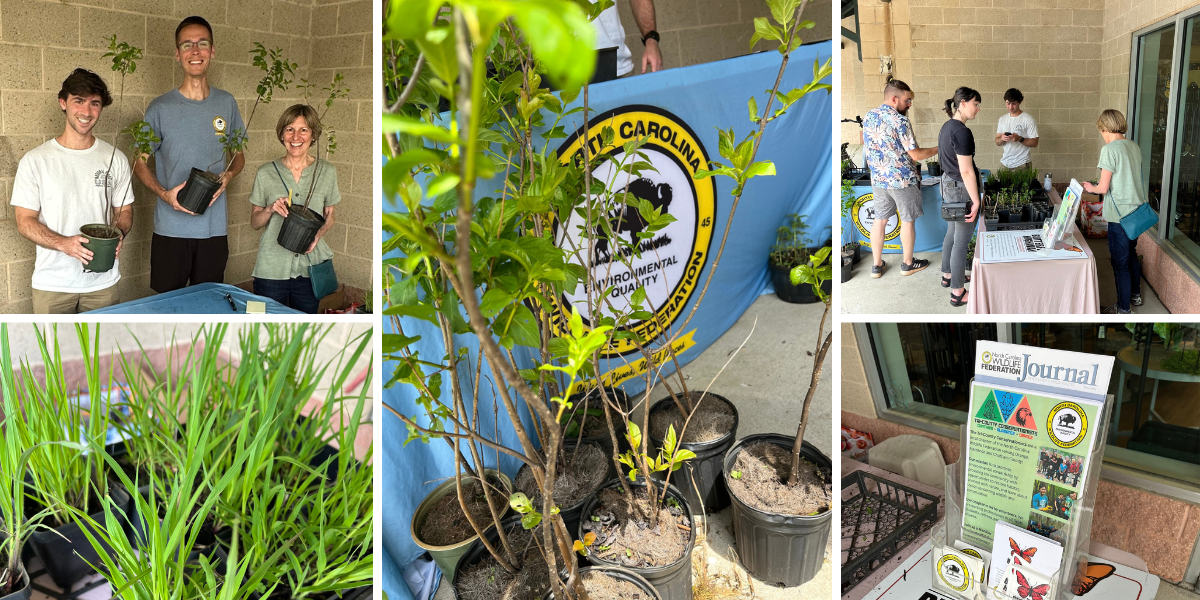 Digging in the Dirt: April 2024 Chapter Highlights - North Carolina ...