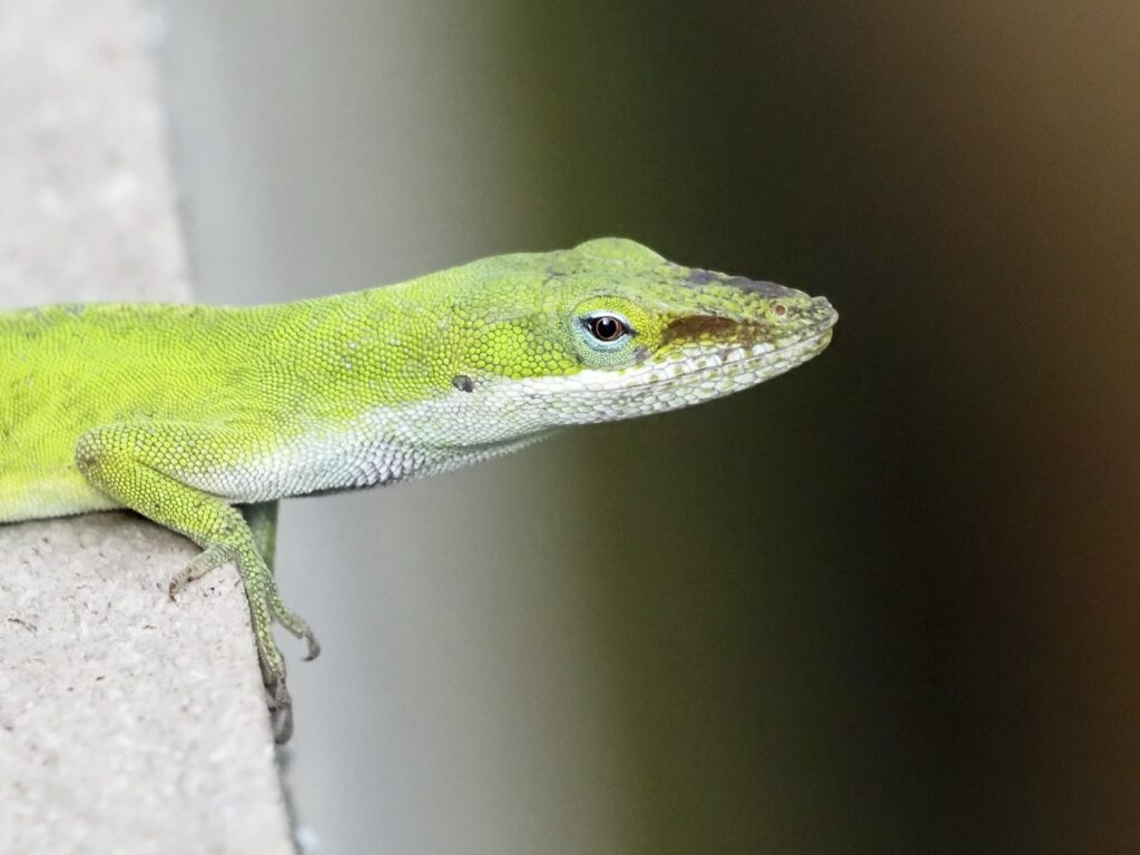 NCWF Announces 5th Annual Photo Contest Winners - North Carolina ...