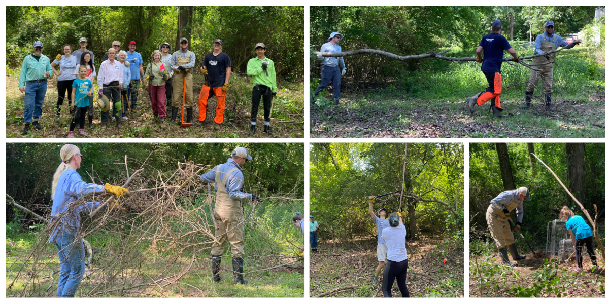 Digging in the Dirt: May Chapter & Planting Highlights - North Carolina ...