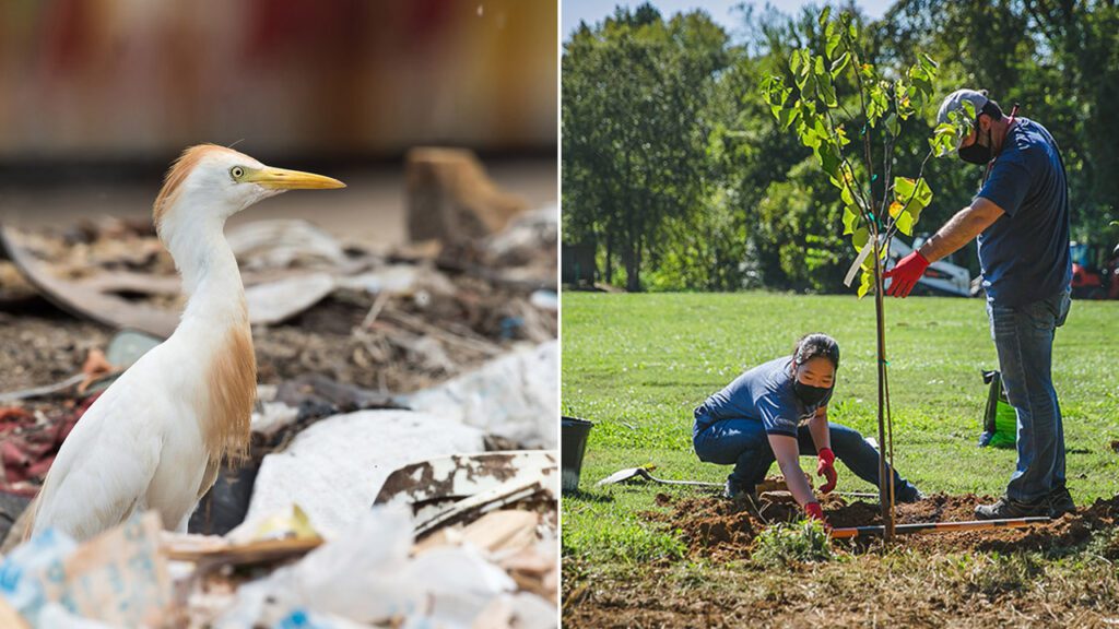 Clean and Green: Program Takes Action on Behalf of Wildlife and ...