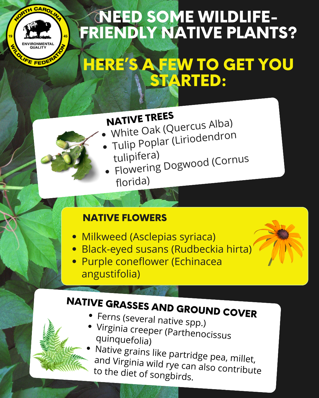 Private Land Stewardship: Gardening for Wildlife in North Carolina ...