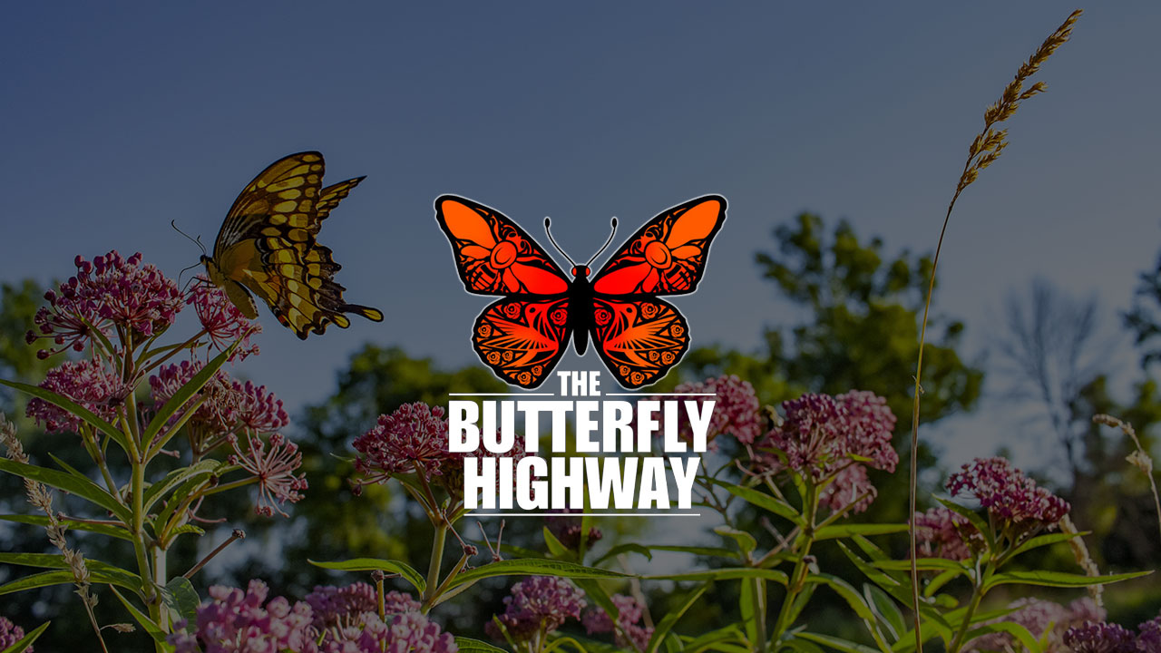 Butterfly Highway - North Carolina Wildlife Federation