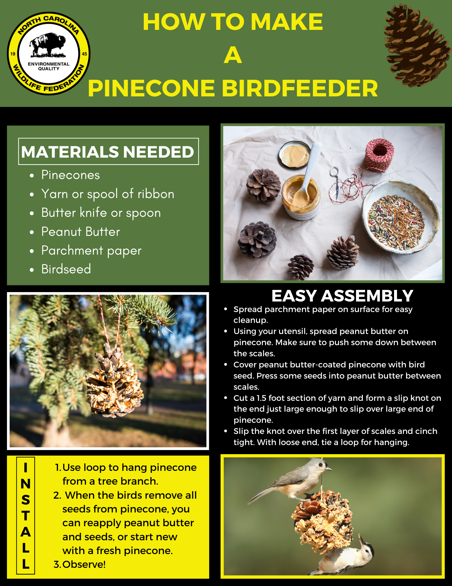 Wild Bird Essentials: How to Provide Birds with Shelter, Food, and ...
