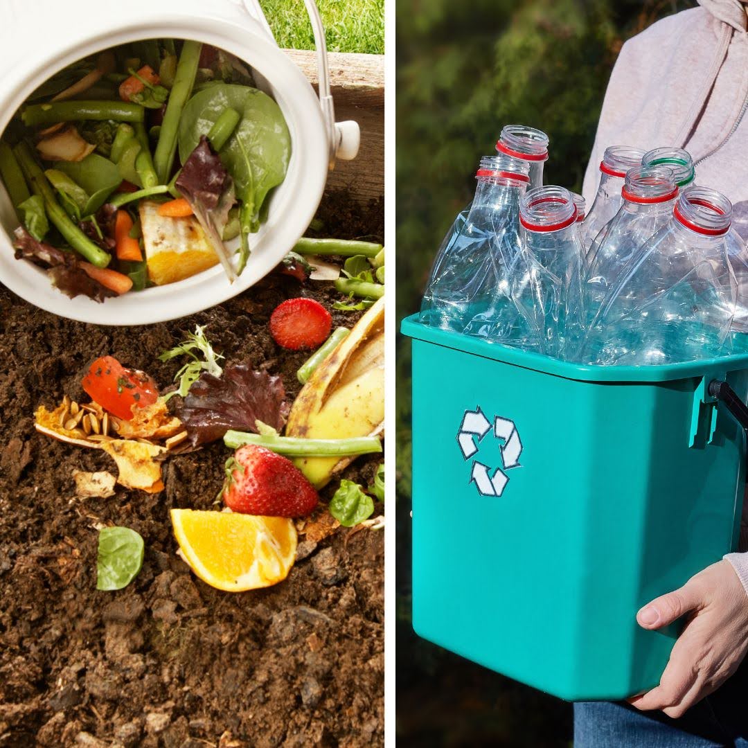 Wildlife-Friendly Urban Spaces: 10 Ways to Secure Your Land, Gardens ...